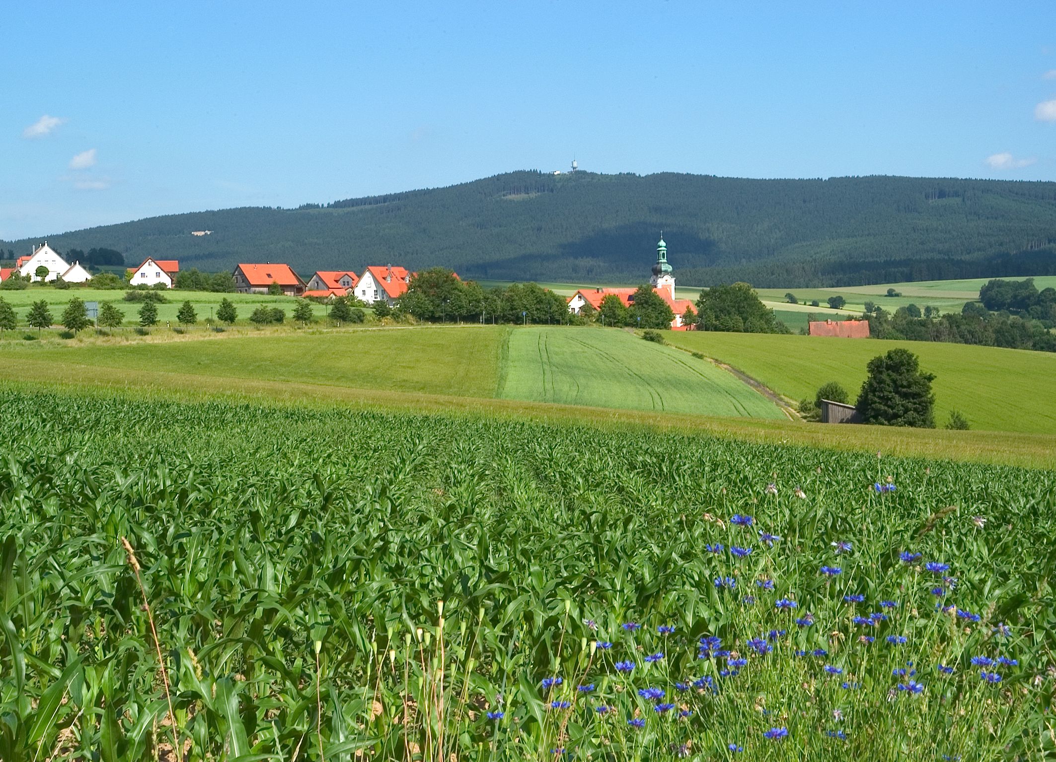 Gäste-Information Bad Neualbenreuth/Sibyllenbad - Oberpfälzer Wald